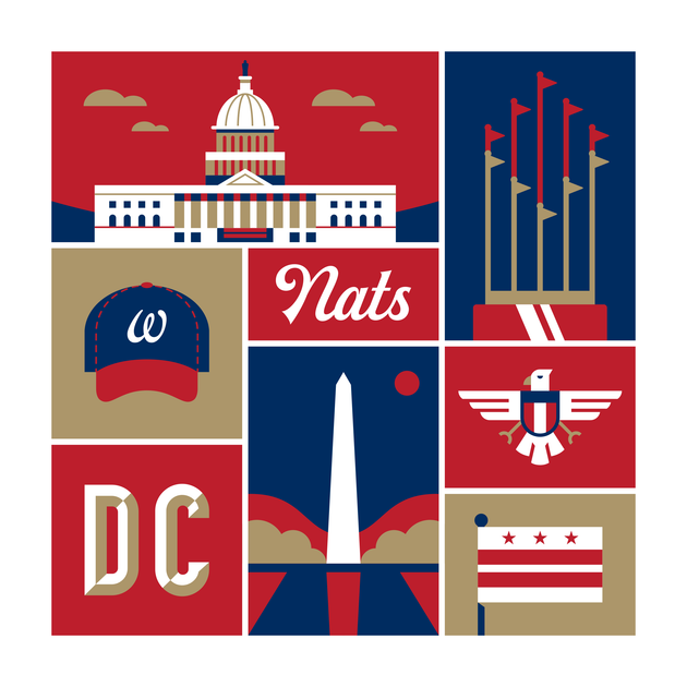 Washington DC Baseball – Hometown Icon